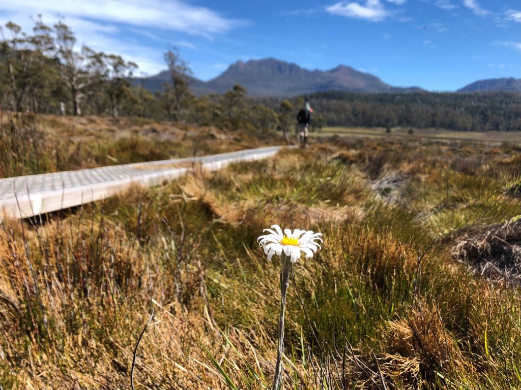 The Overland Track | Guided Tours | Wilderness Expeditions Tasmania